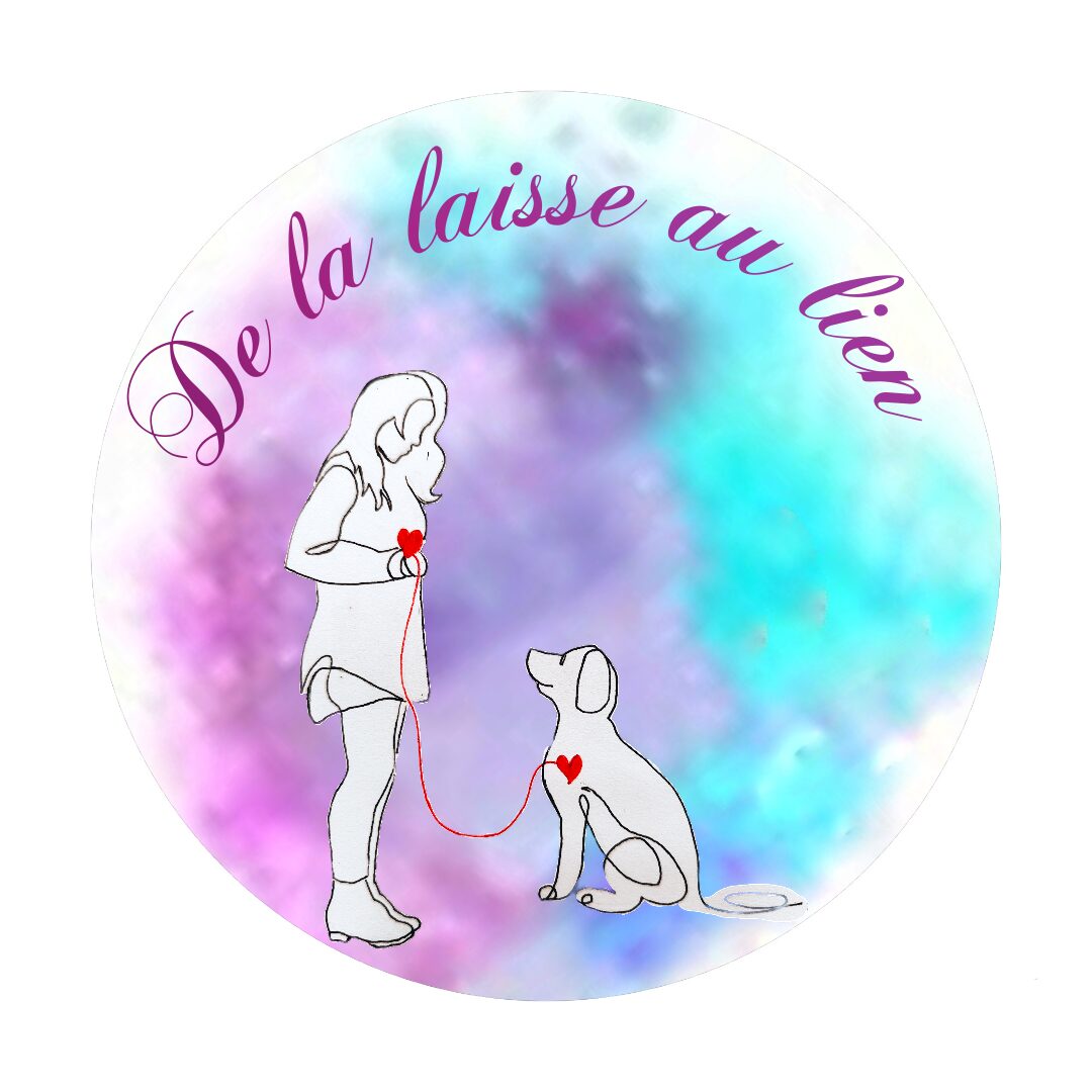 L'hypertype chez le chien - De la laisse au lien éducateur ...